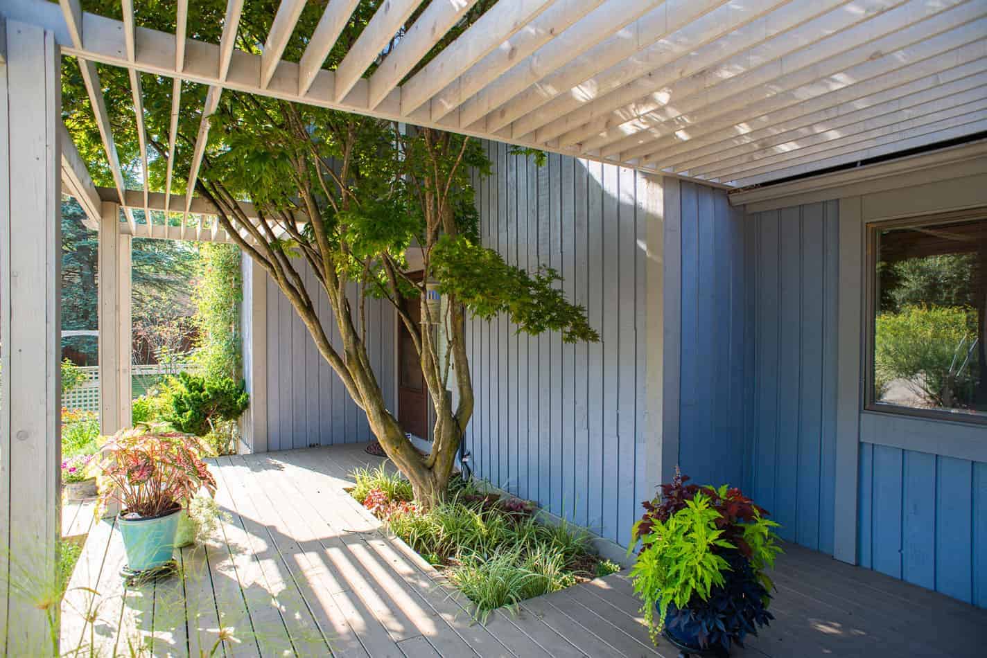 Front Yard Privacy Garden - Lotus Gardenscapes