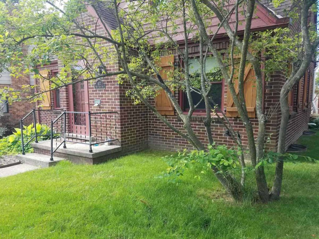 Neglected Landscape Blossoms into a Pollinator Paradise - Lotus ...