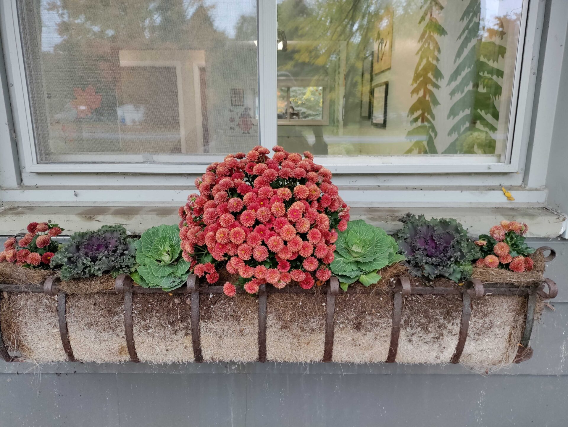 Fall Annual Flower Displays - Lotus Gardenscapes